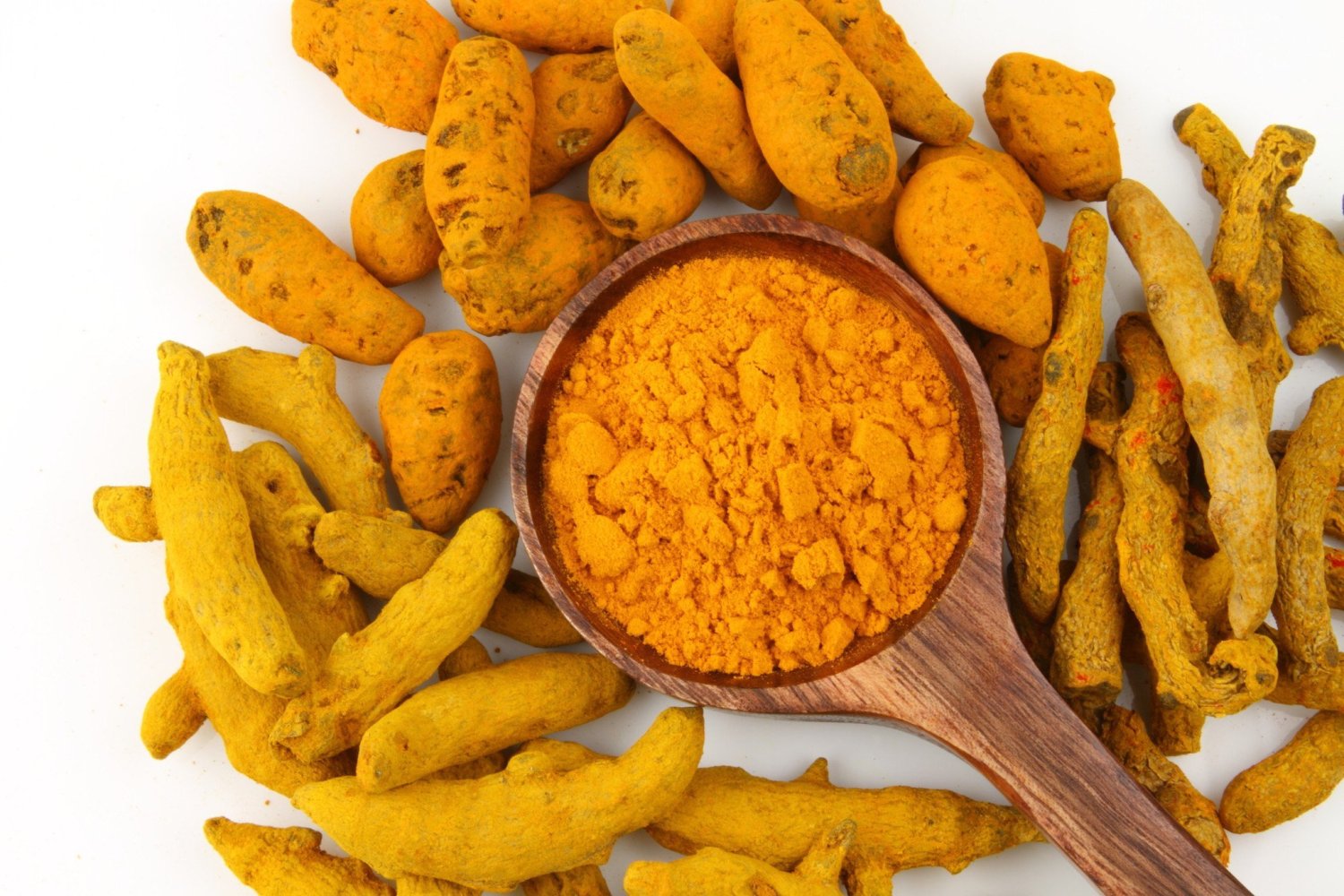 Host A Curry For Change It s Good For You Health Poverty Action