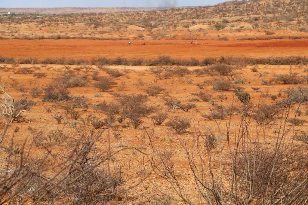 Urgent Appeal: Drought in the Horn of Africa | Health Poverty Action