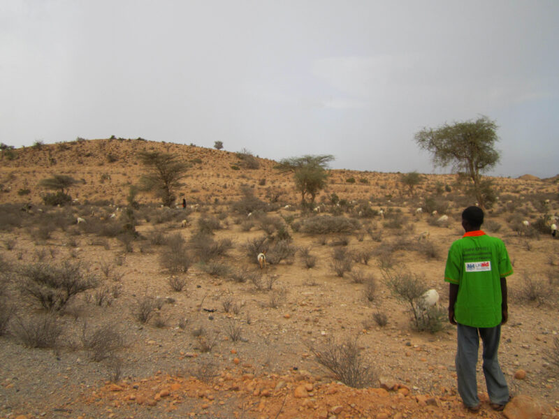 Health Poverty Action